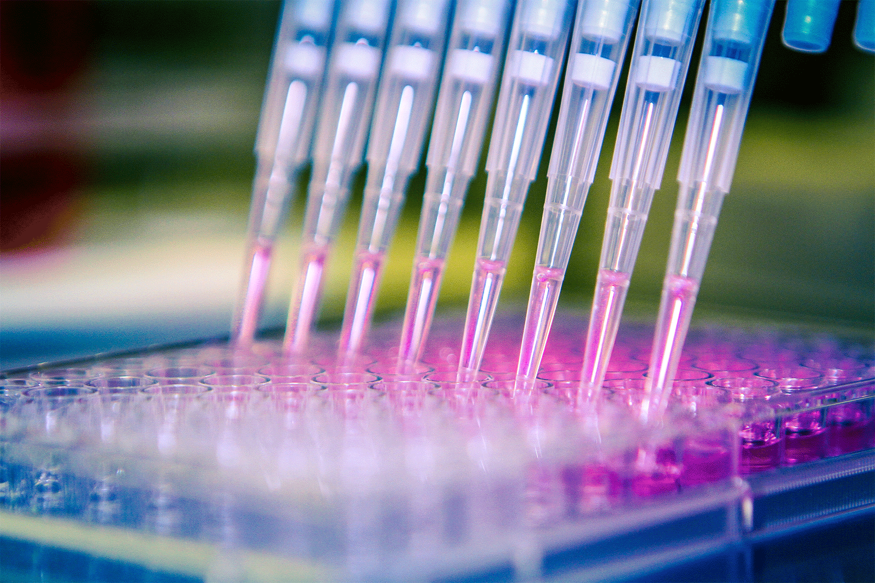 Biology (PhD) | Indiana State University